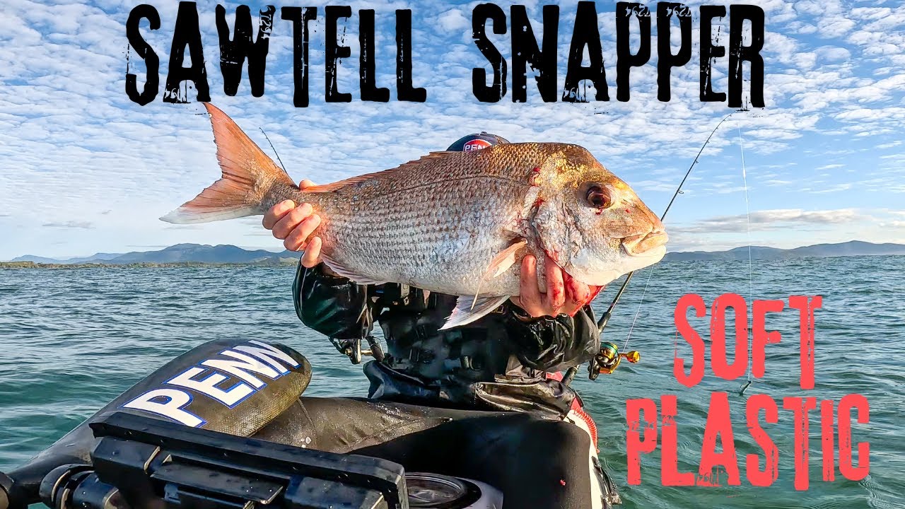 SNAPPER Success on SOFT PLASTICS!! Offshore Kayak Fishing! Coffs ...