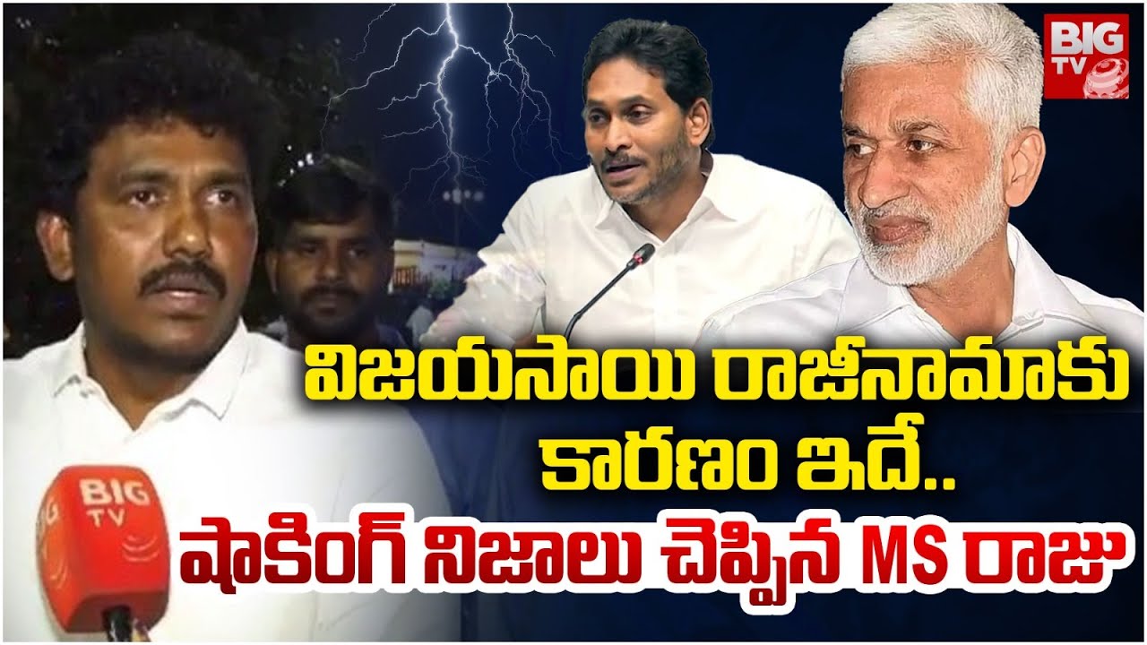 విజయసాయి రాజీనామాకు కారణం ఇదే | TDP MLA MS Raju Clarity On Vijay Sai ...