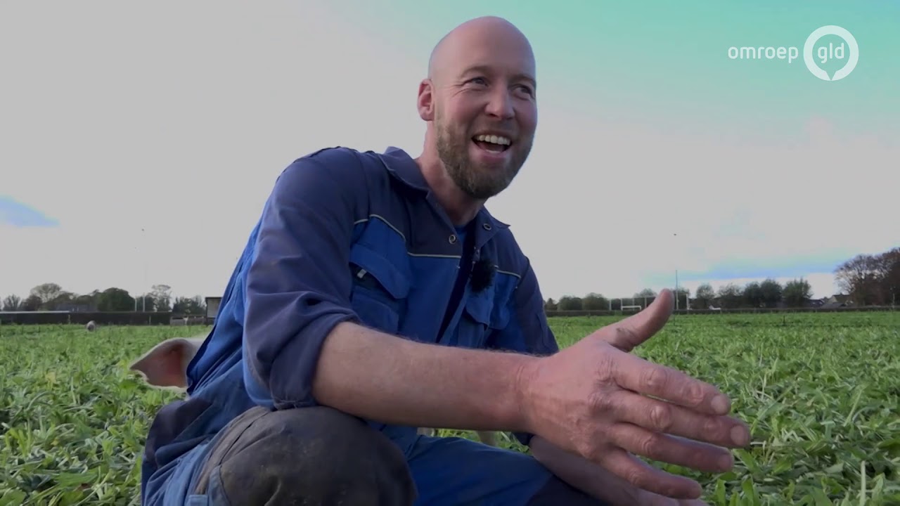 Jeroen boert op zijn eigen manier: 'ik verkoop zelf het vlees' - De ...