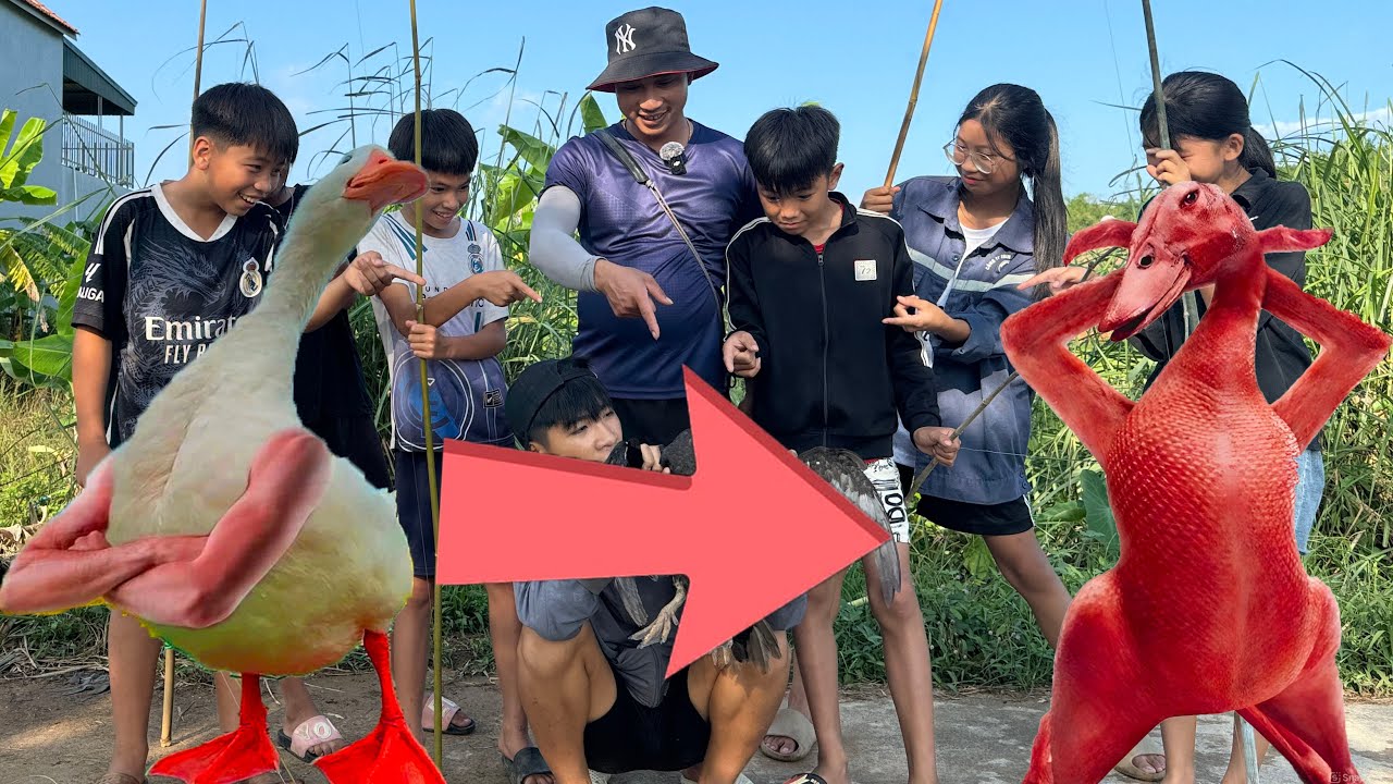 Tôm vlog | Thử thách đi câu cá | vô tình bắt được vịt trời. - YouTube