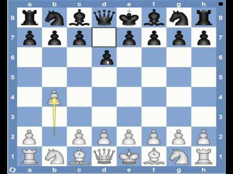 1. b4 sokolsky opening, partia orangutana - YouTube