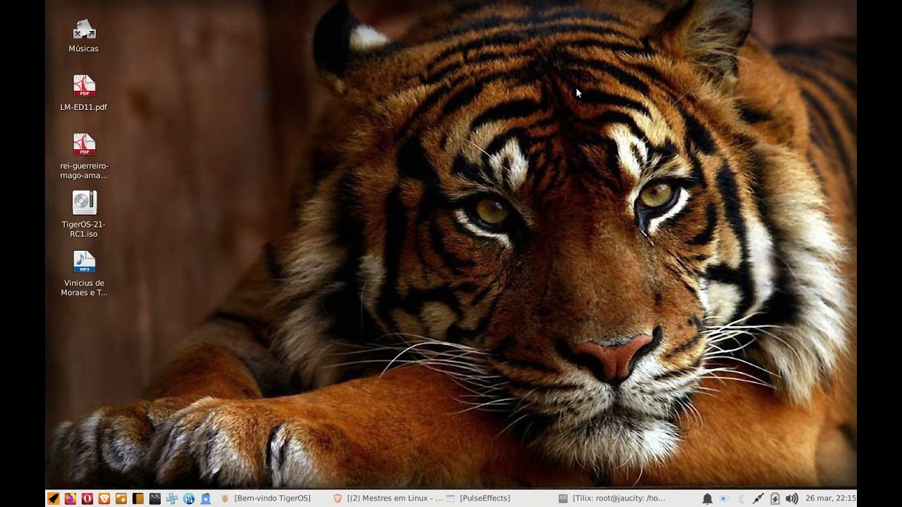 Tiger OS 21 RC (GNU/Linux) - visão geral do sistema - YouTube