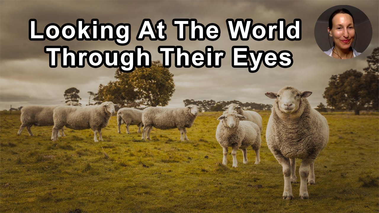 Empathy: It's Impossible To Look Down On Others, Or Look Up At Them If ...