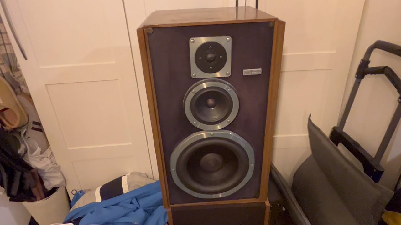 The best vintage Magnat ever built, Magnat all Ribbon 10 - YouTube