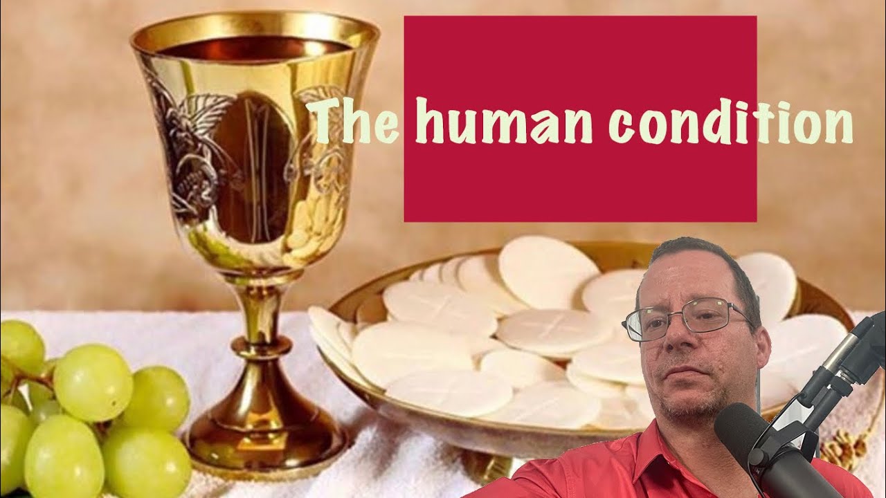 The human condition! Suffering - YouTube
