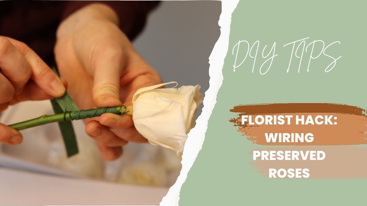Florist Hack: How To Wire Preserved Roses - YouTube