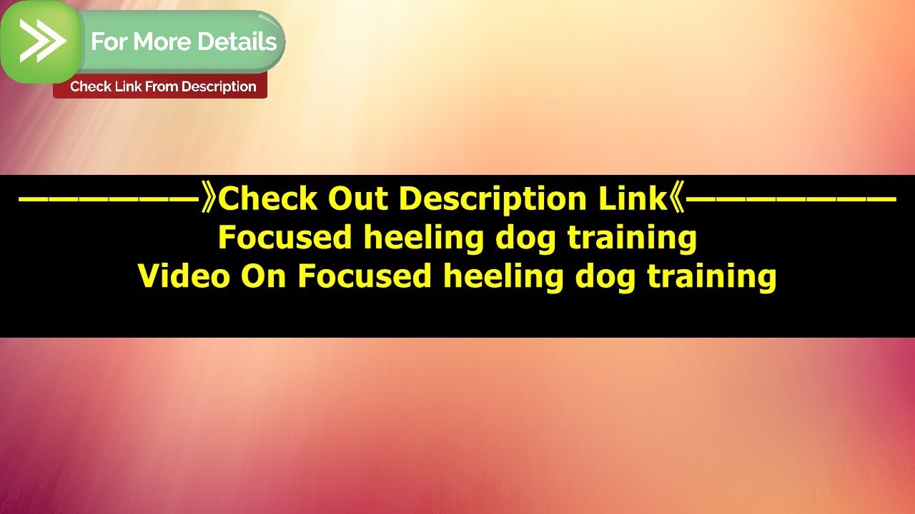 Focused heeling dog training - dog training - competitive focused ...