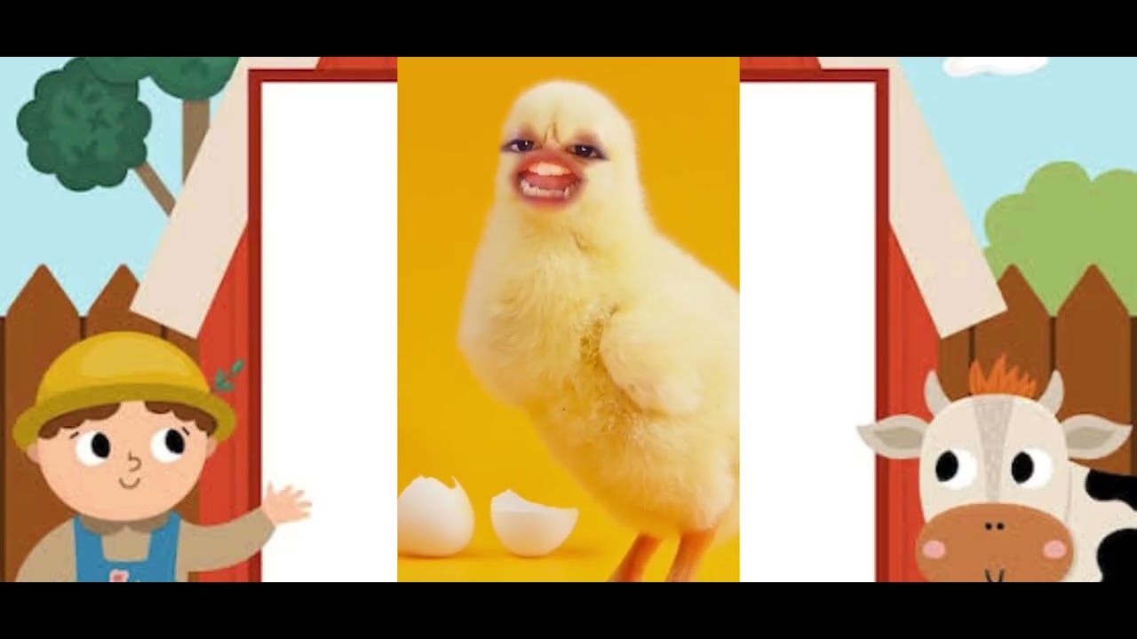 🐤EL POLLITO VALIENTE 🐤 - YouTube