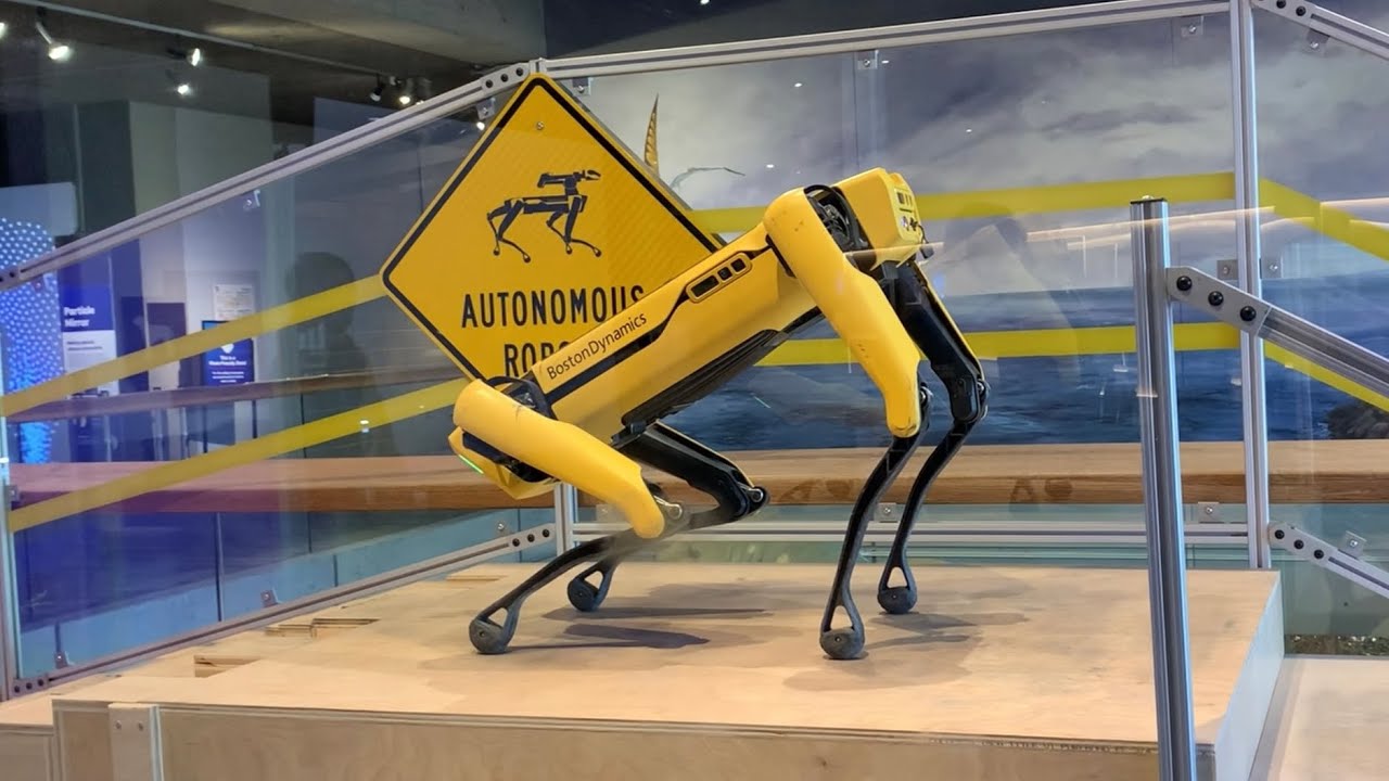 Cute Robots at Boston Science Museum🇺🇸. Robots| Robotics | Robotic ...