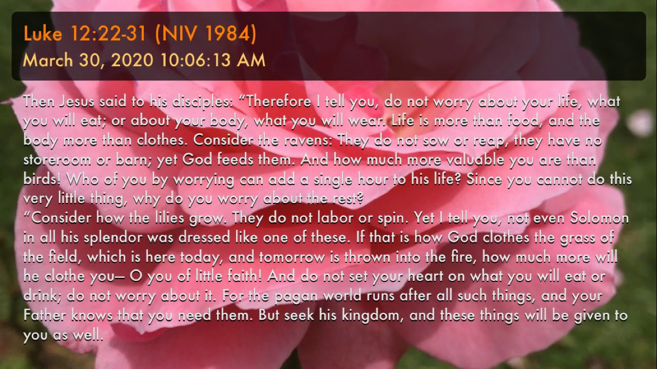 Luke 12 22 31 Don t Worry Daddy s Got You Scripture Song YouTube