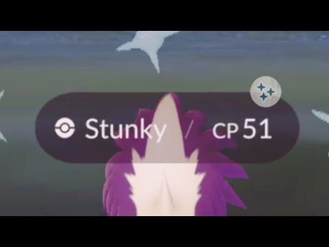 Shiny Stunky | Unreleased Shiny Pokémon stunky | Pokémon Go - YouTube