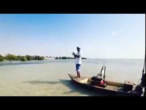 Hayaari Marine's Videos - YouTube