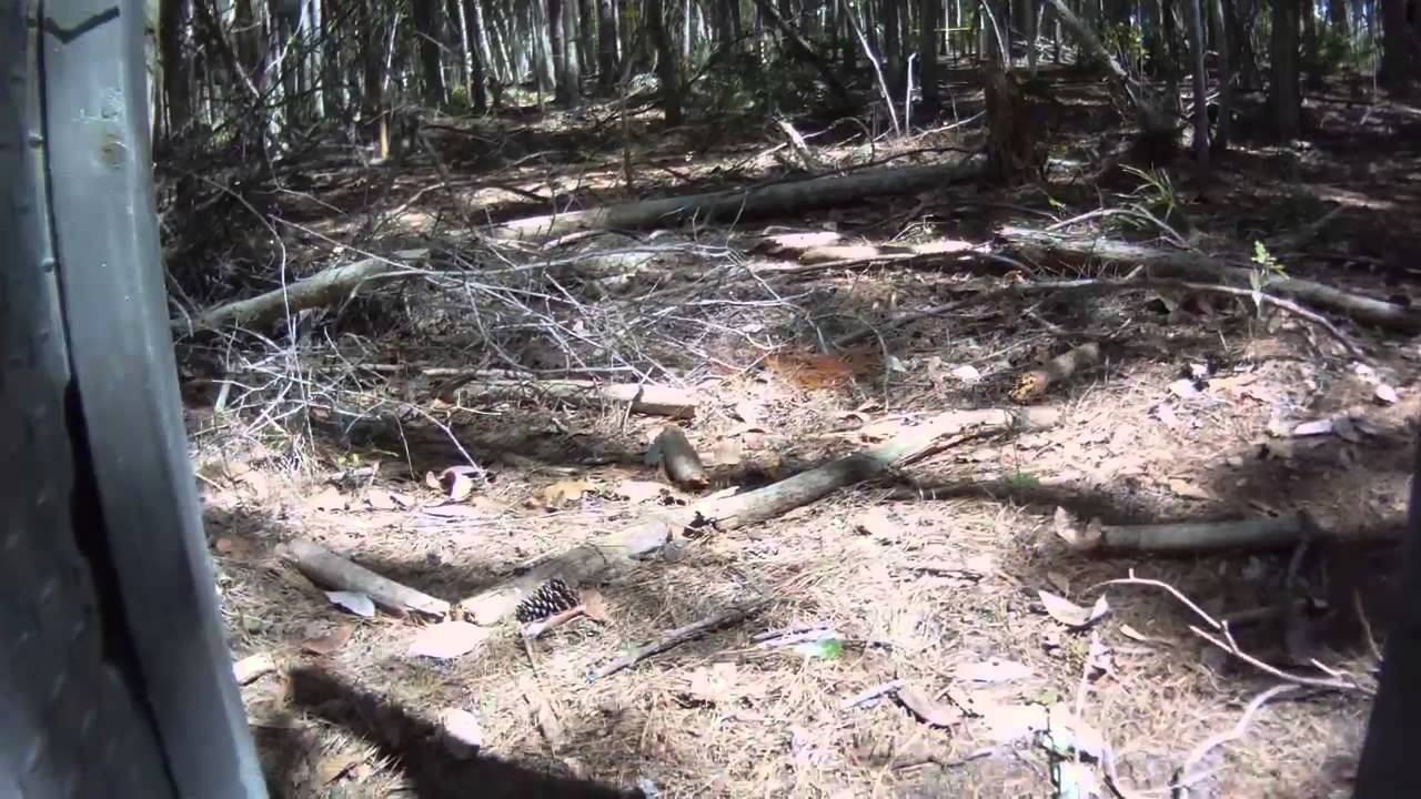 2011 Winter break paintball mesh two recruitment - YouTube