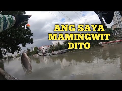 EP- 03 Hunting telapya fish sa ilog Pasig, Philippines - YouTube