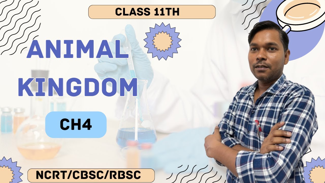 Animal Kingdom | Full Chapter | Chapter 4 | Class 11 Biology 🔥 - YouTube