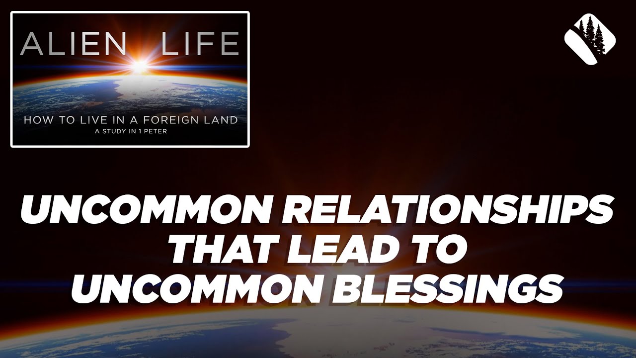 ALIEN LIFE (Part 5) • "Uncommon Relationships that Lead to Uncommon ...