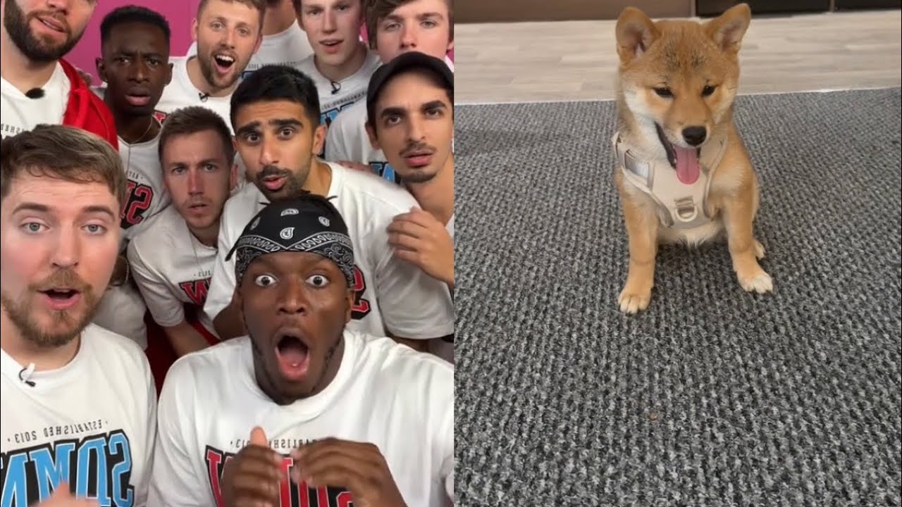 #mrbeast and #ksi reacting to puppy - YouTube