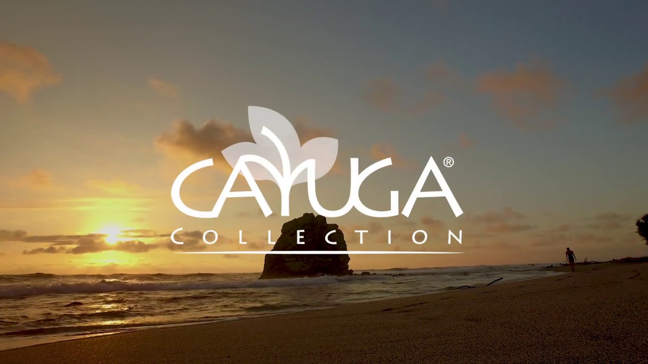 Welcome to The Cayuga Collection - YouTube