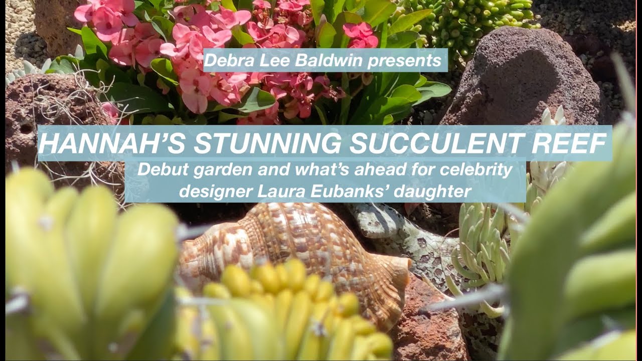 Stunning Succulent "Reef" Garden - YouTube