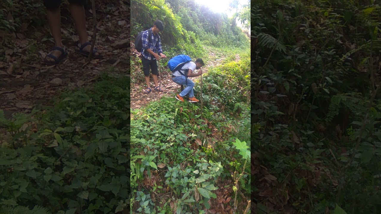 Hunting camera man in jungle - YouTube