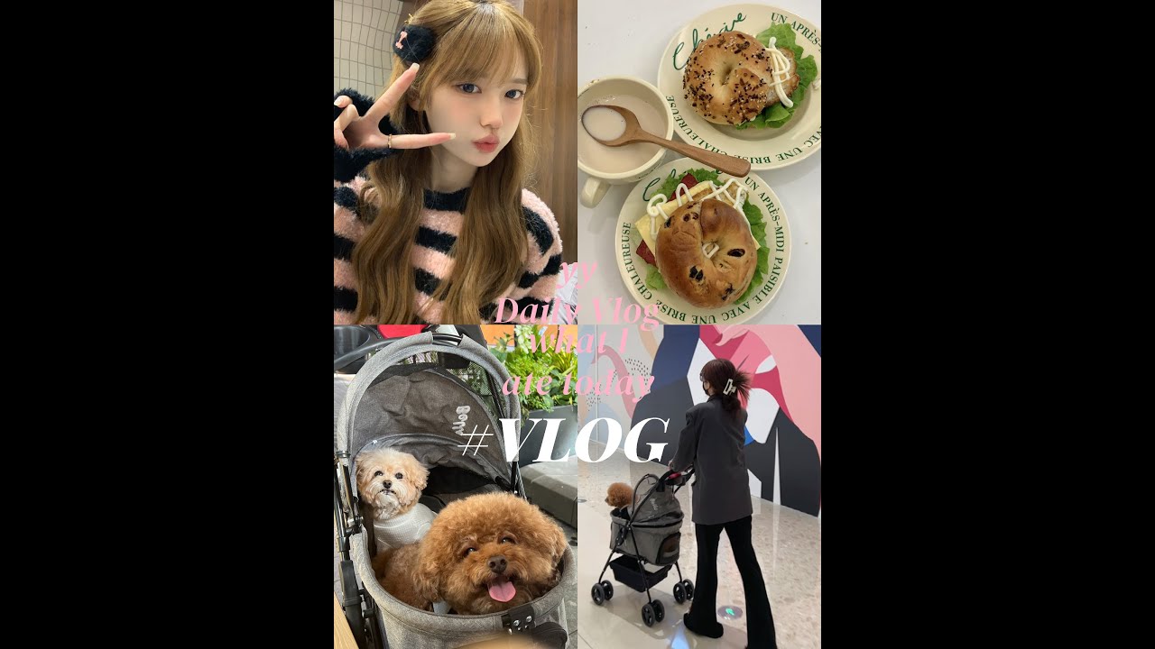 163 47kg一天吃什么_外出准备_小狗出游 - YouTube