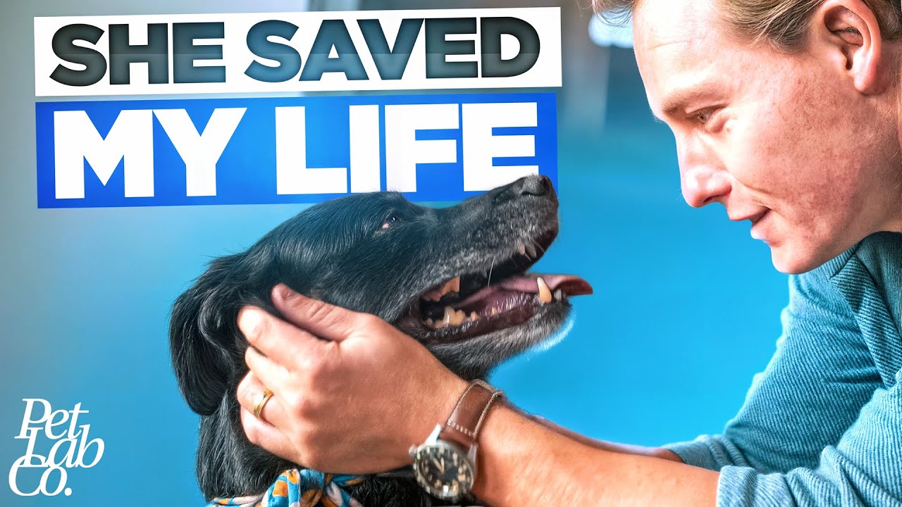 Can Dogs HEAL people? - A PetLab Co. Journey Through Grief & Recovery ...