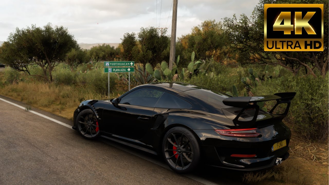 2019 Porsche 911 GT3 RS | Forza Horizon 5 - YouTube