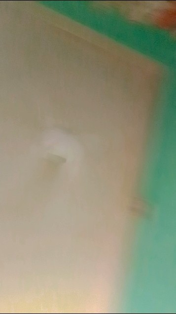 Too Cheez Badi Hani 🥰 #petshub #andrast #ytshorts #bollywood #hindisong ...