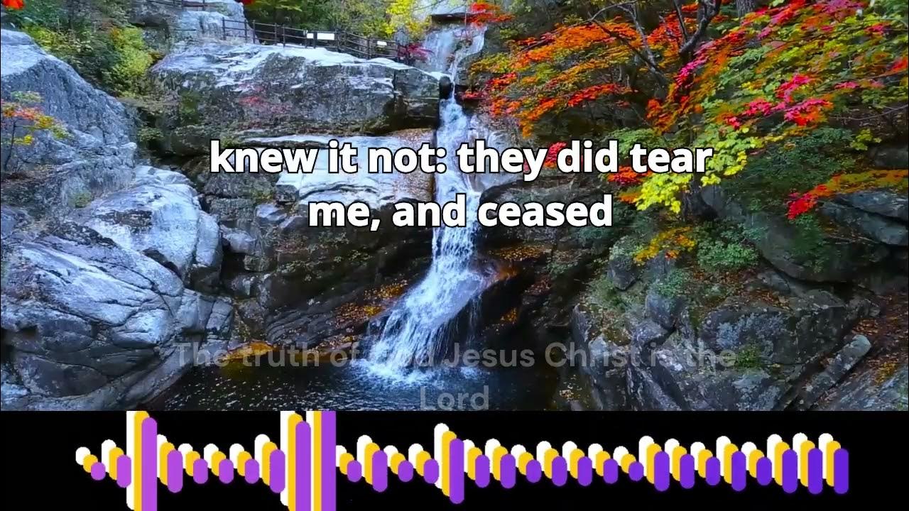 the-book-of-psalms-chapter-35-verse-1-to-28-youtube