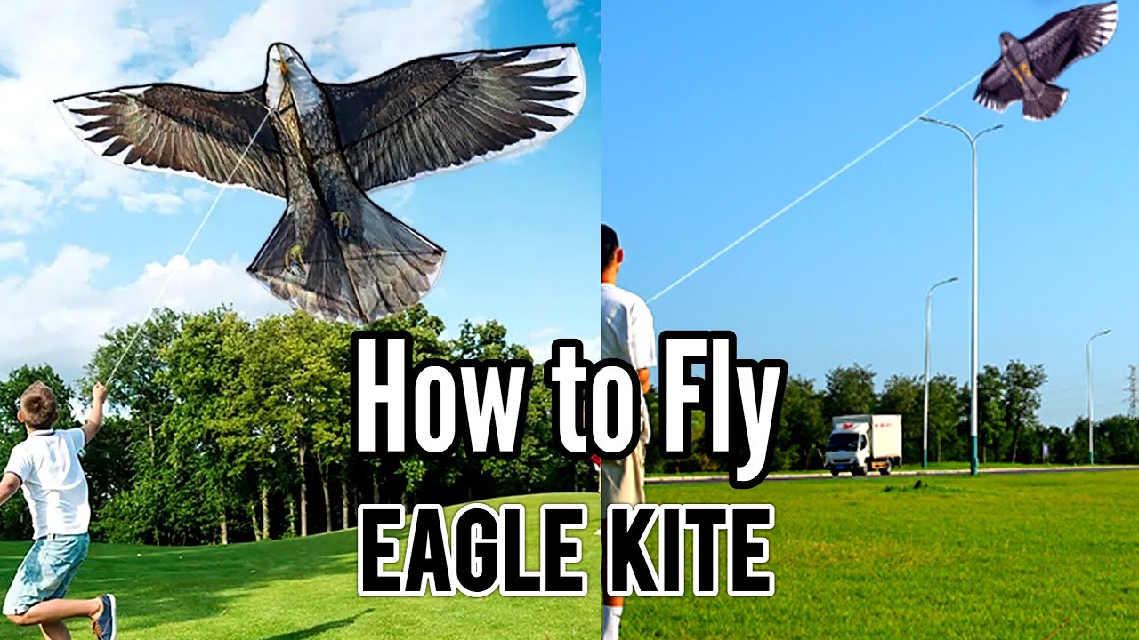 How To Fly Eagle Kite | Eagle Kite Flying Test - YouTube