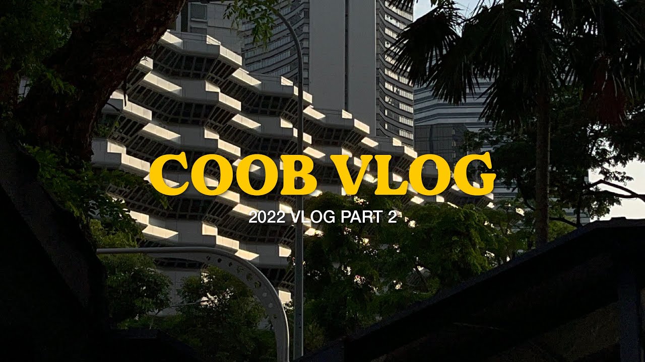 lego bricks & beef bowls (vlog) - YouTube