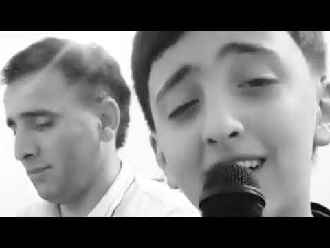 Revan Agazade - Qayit Nolar ( TikTokda Trend Ifa ) 