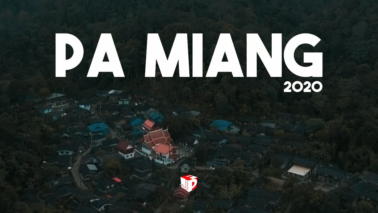 PA MIANG 2020 | ป่าเหมี้ยง | Cinematic Travel By JFP - YouTube