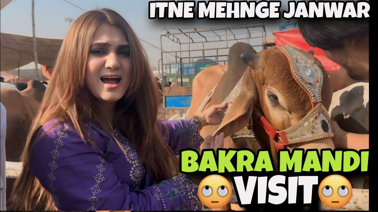 FIRST TIME IN MANDI // ITNA MEHNGA JANWAR - YouTube
