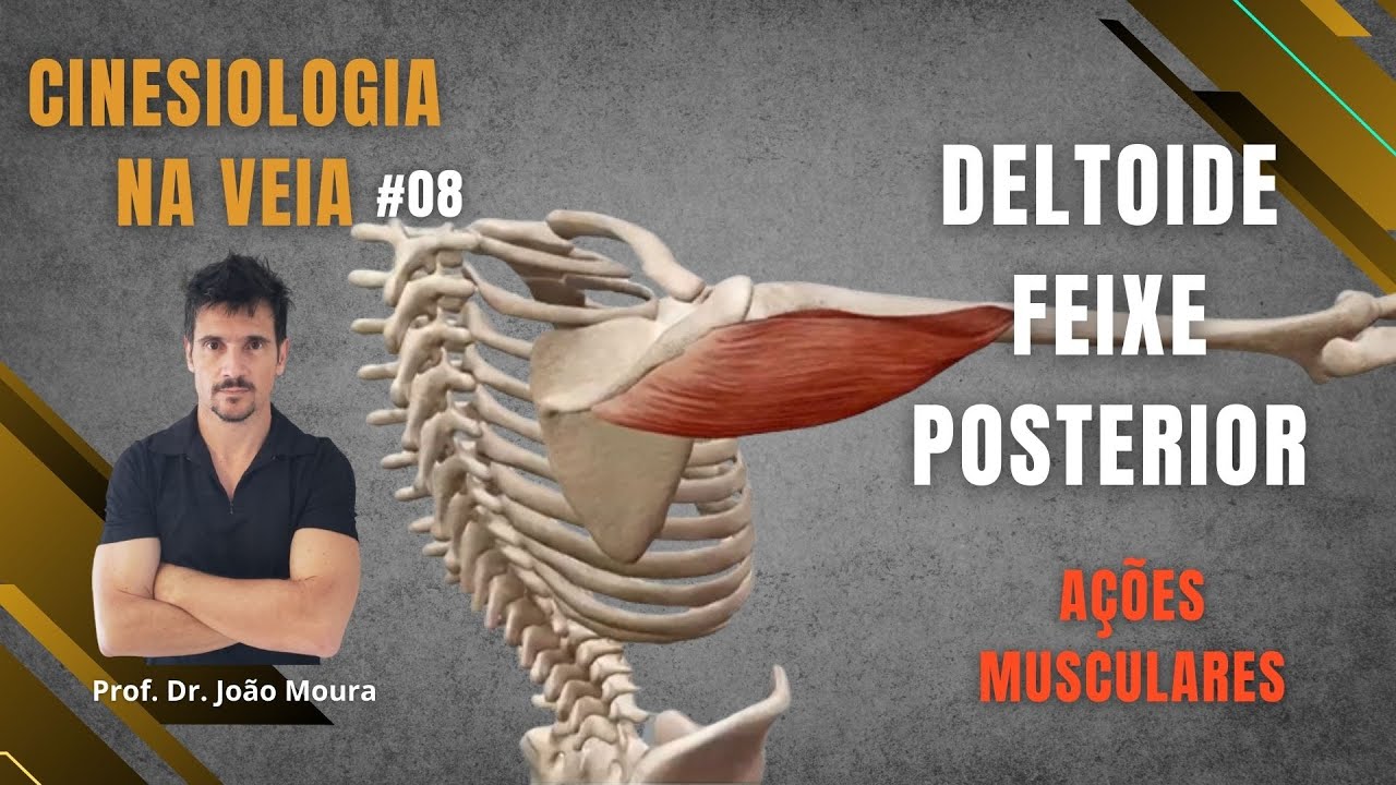 DELTOIDE POSTERIOR - CINESIOLOGIA NA VEIA #08 - YouTube