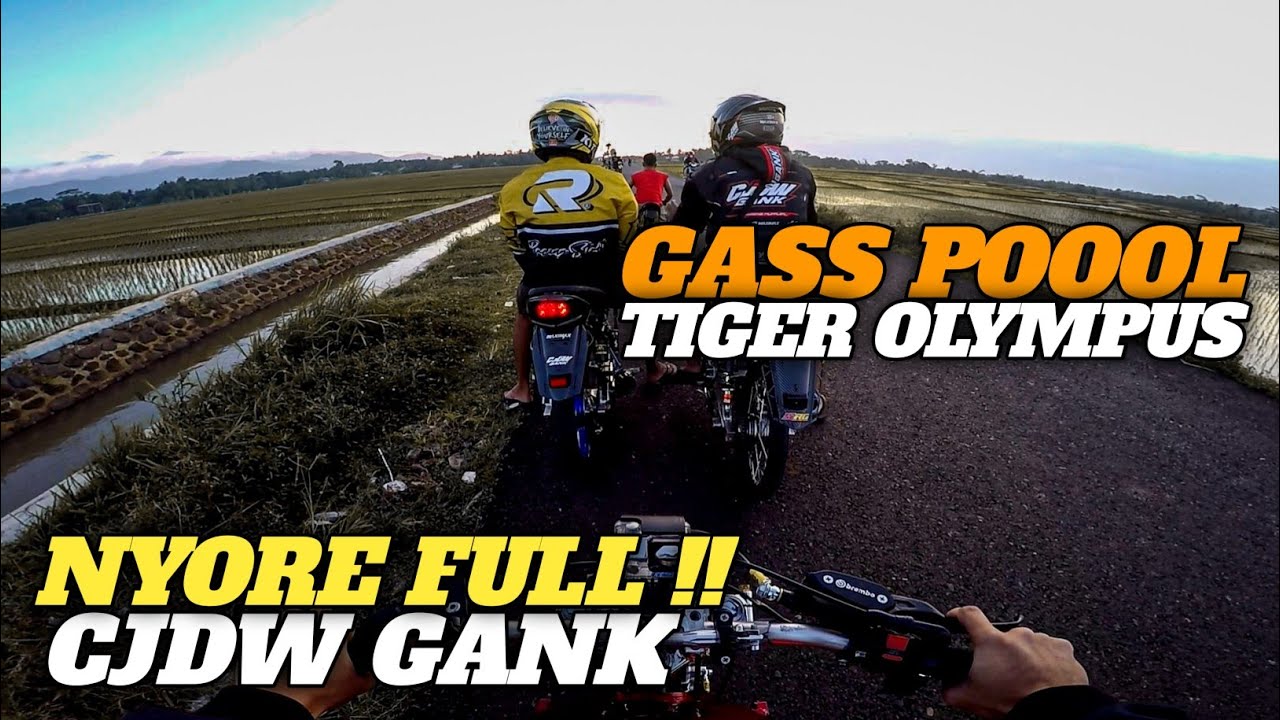 SETTING GASS POOOL TIGER OLYMPUS ‼️NYORE FULL CJDW GANK ‼️#tigerolympus ...