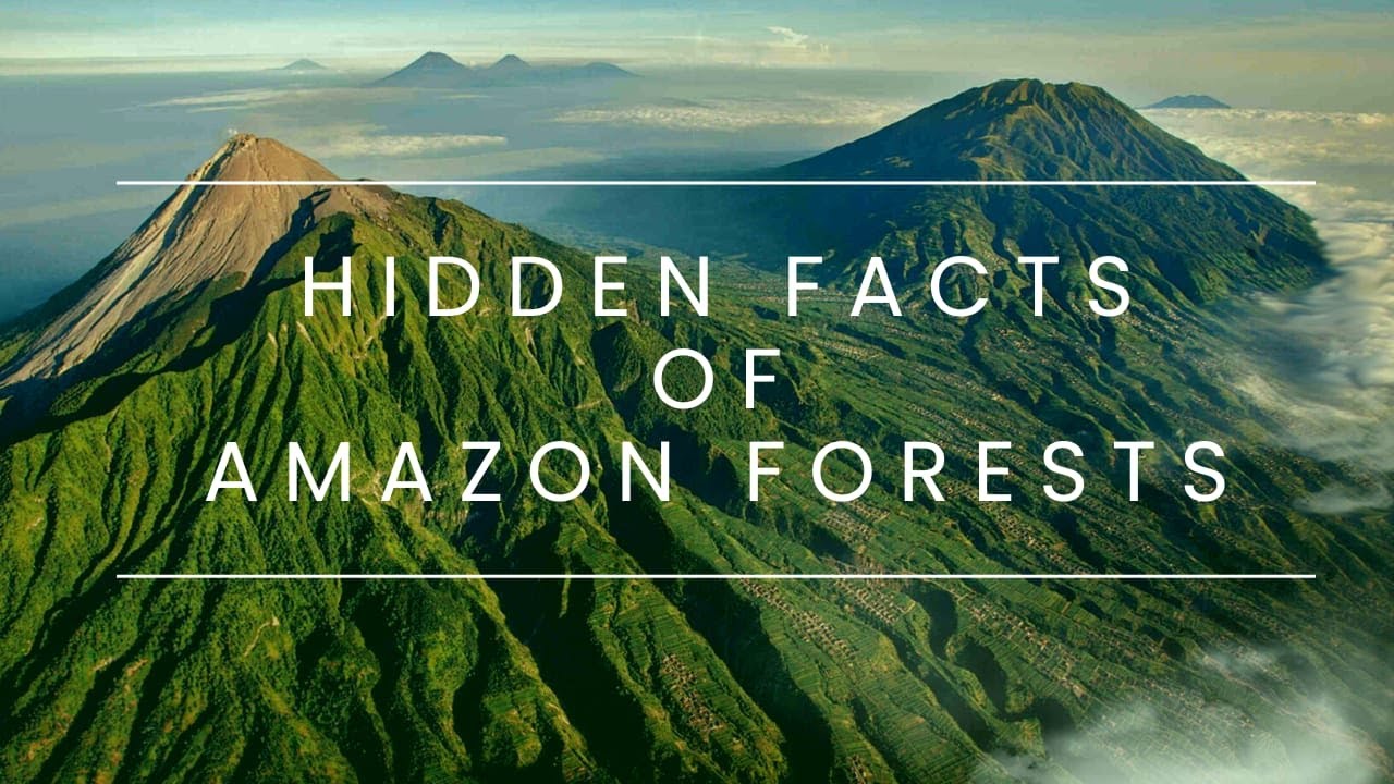 Uncovering the Shocking Truth Behind the Amazon Forest! - YouTube