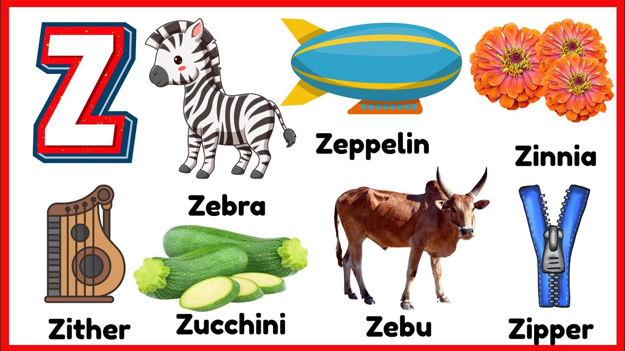 10 words from letter Z/Z letter words/English Alphabet for kids/English ...