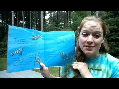 Nature Storytime #47 - One Tiny Turtle by Nicola Davies - YouTube
