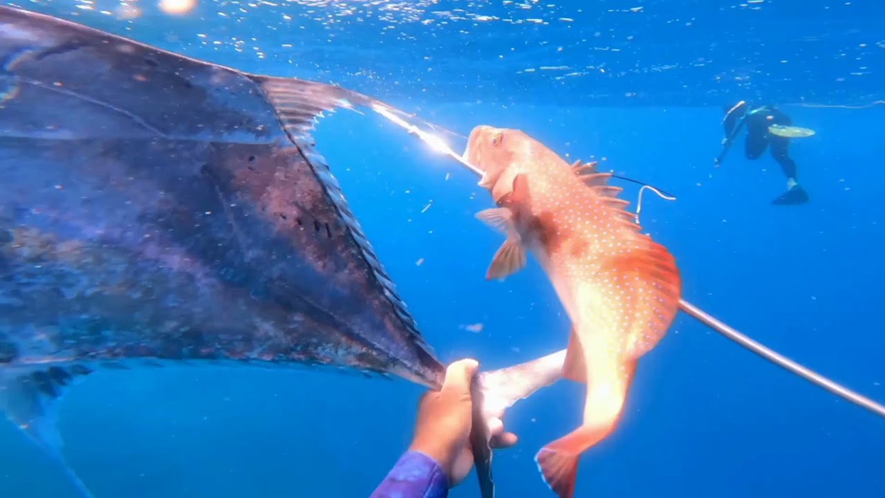 ep.398 p1- NAKAJACKPOT NG MALAKI | Catch and Cook - YouTube