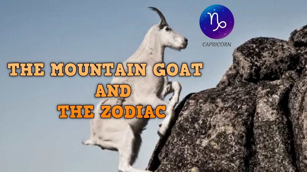 The origin of the choice of the zodiac sign Capricorn - YouTube