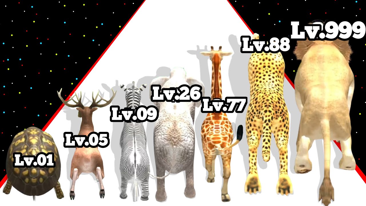Animal Run Transform Evolution Level Up Animal All Level Gameplay (2025 ...
