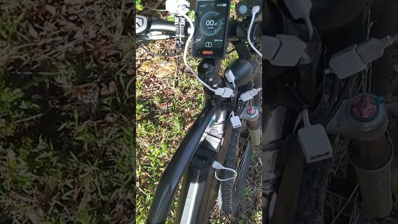 Reef Predator Ebike - Bafang M620 - fox F80 RL - Fox DPS - Shimano XT ...
