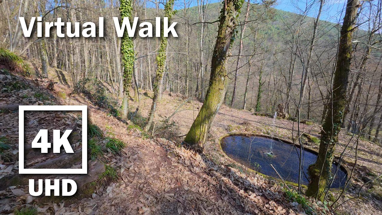 Virtual Walk Forest Hike | 4K UHD Stereo Audio | no Music | 26 - YouTube
