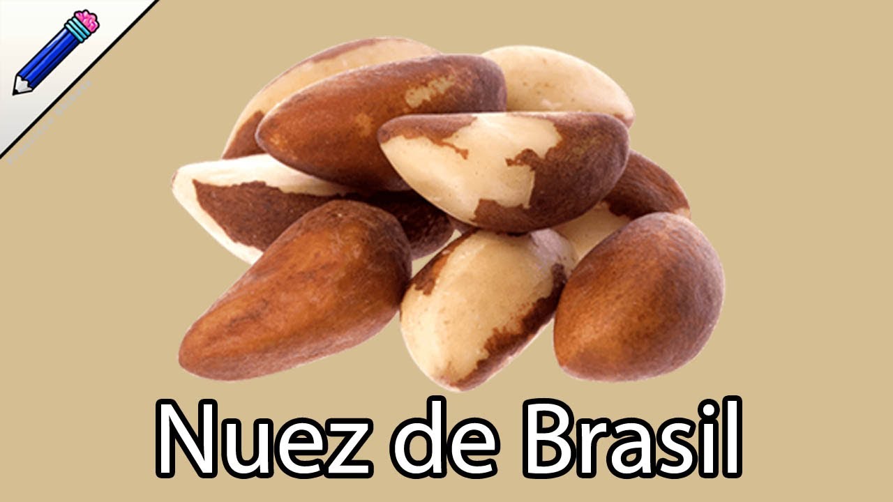 La nuez de Para almendra de Brasil Almendra del Amazonas Castaña del ...