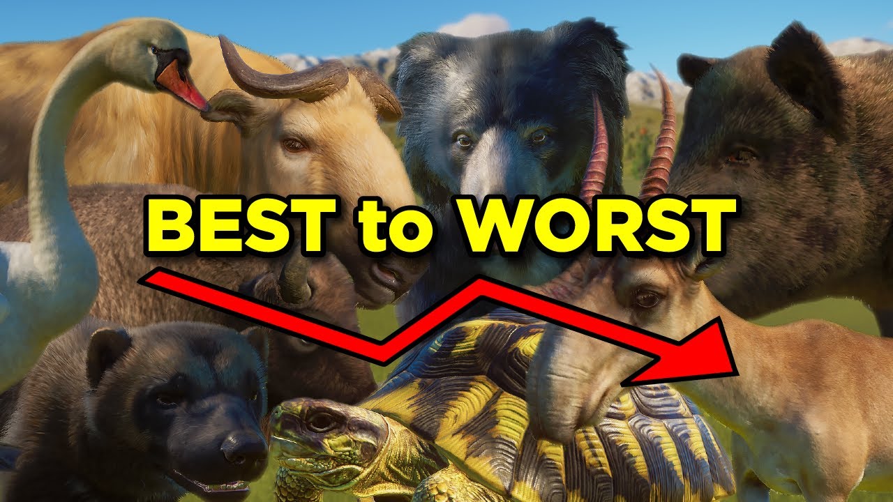 Best to Worst? Ranking Eurasia Animals | Planet Zoo - YouTube