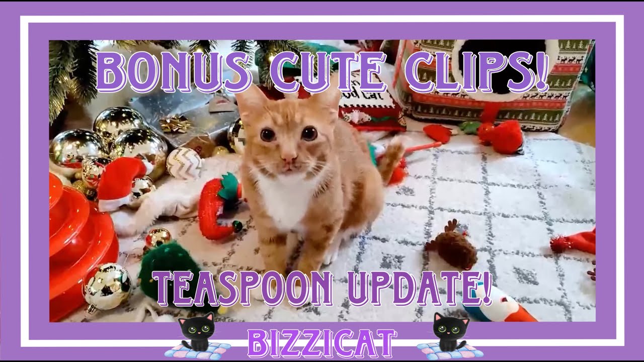 Bonus Cute Clip - Teaspoon Update - Nov 7th. - YouTube