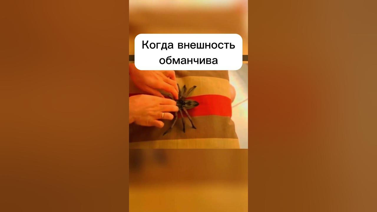 психология любовь жизнь мысли отношения мотивация счастье