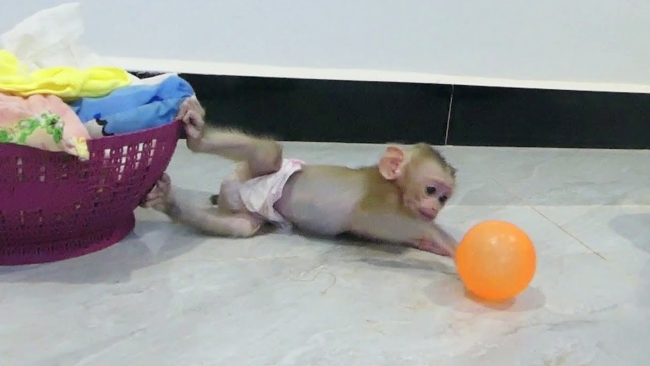 0hGod!! Queen Jenna Jump To Catch Ball Fall Down To Floor - YouTube