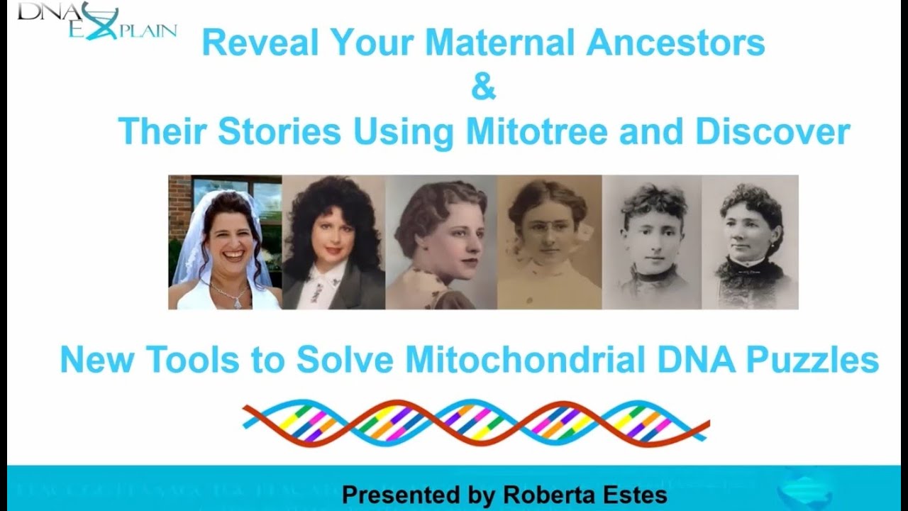 Reveal Your Maternal Ancestors & Their Stories Using Mitotree and ...
